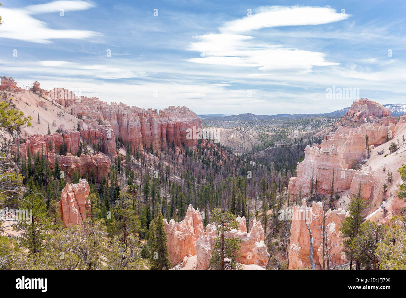 View at rock pyramids in Bryce Canyon Nationalpark, Utah, the USA Stock ...