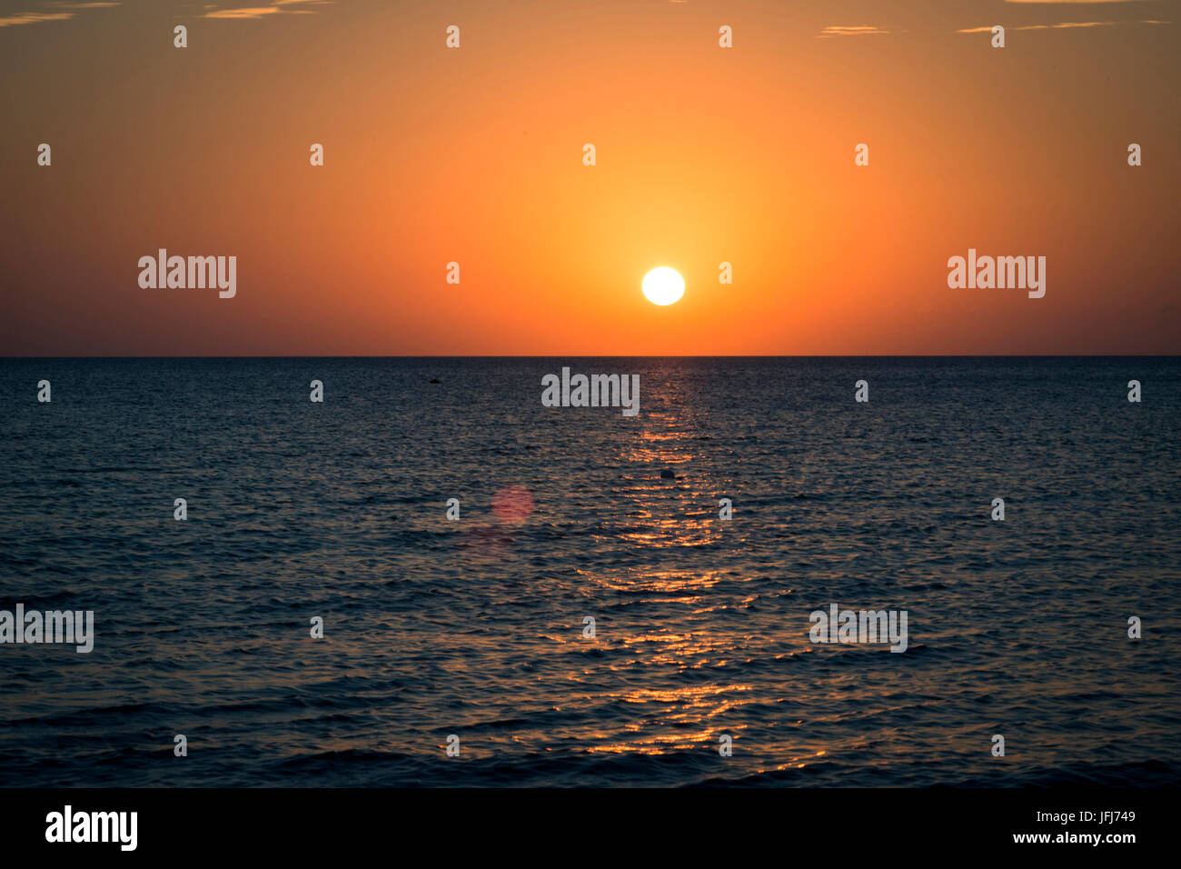 Albinia hi-res stock photography and images - Alamy