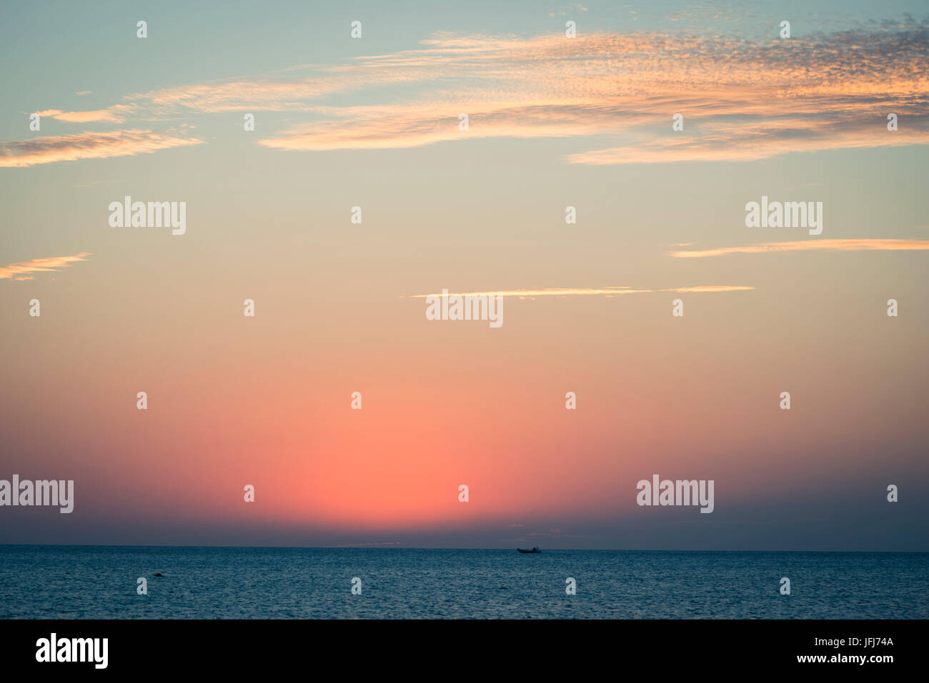 Albinia hi-res stock photography and images - Alamy