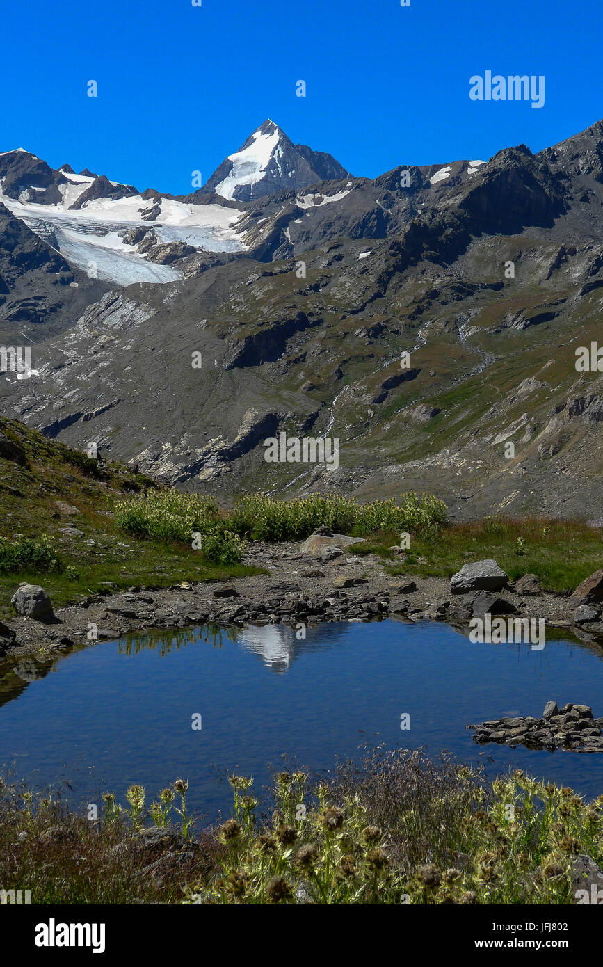 Konig Ortler High Resolution Stock Photography and Images - Alamy