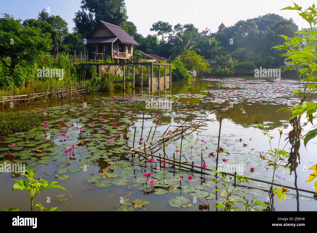 Asia, Laos, landlocked country, South-East Asia, Indo-Chinese peninsula ...