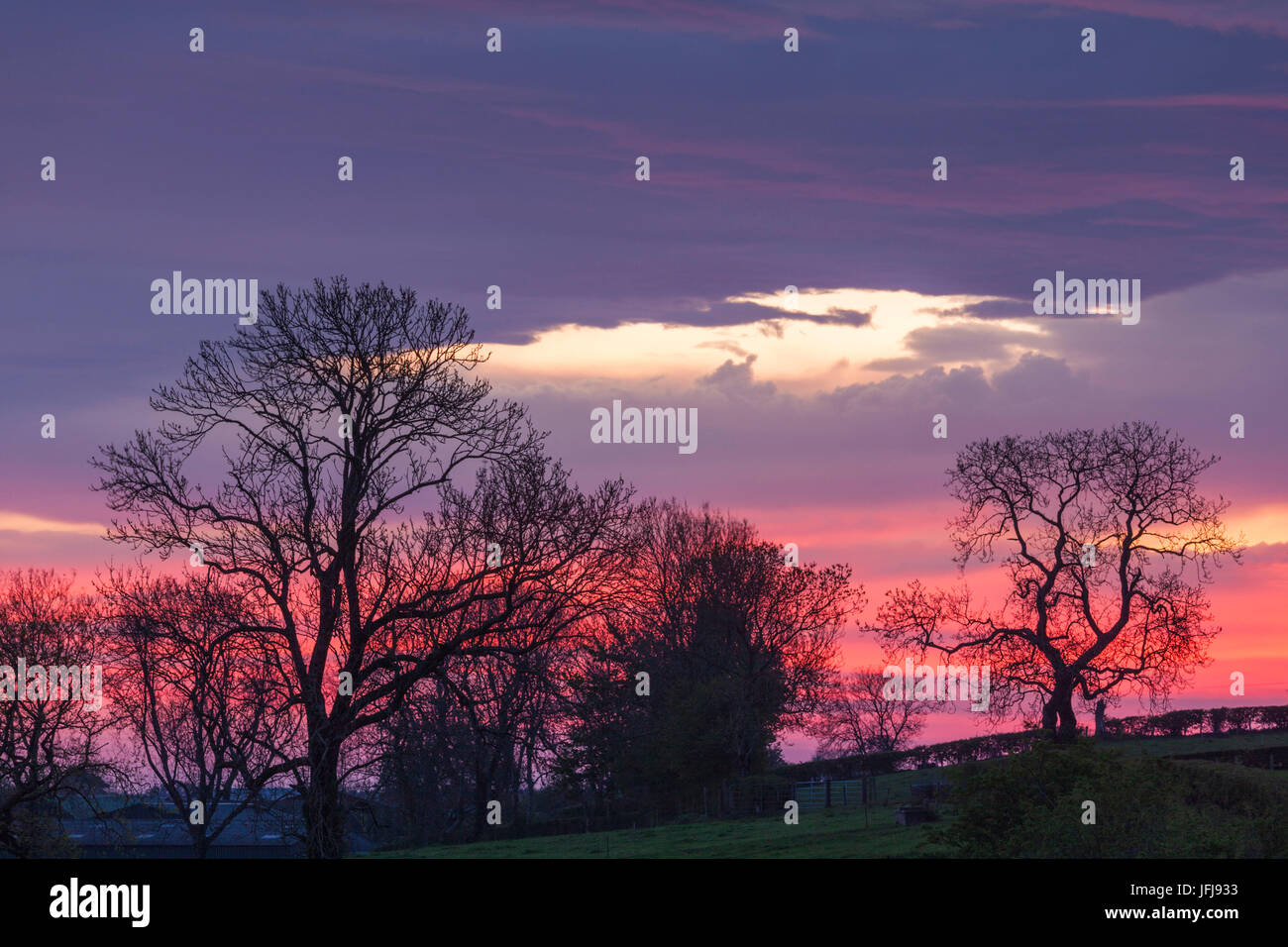 UK, Northern Ireland, County Antrim, Ballymoney, sunrise by The Dark ...