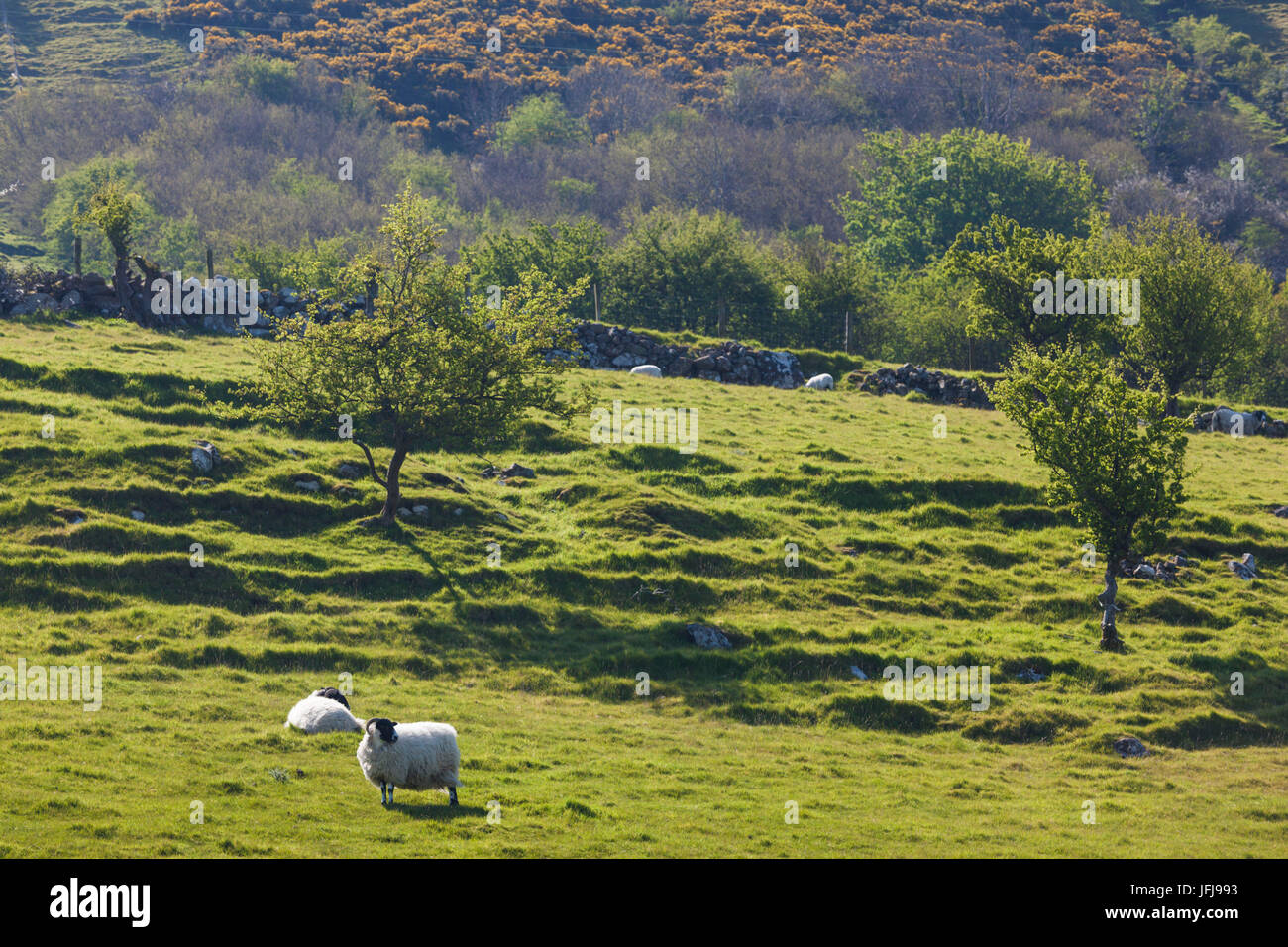 Carnlough antrim hi-res stock photography and images - Alamy