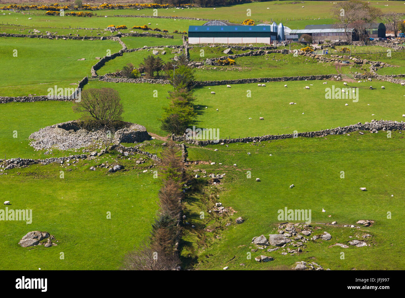 UK, Northern Ireland, County Antrim, Torr Head, Torr Head Scenic Road ...