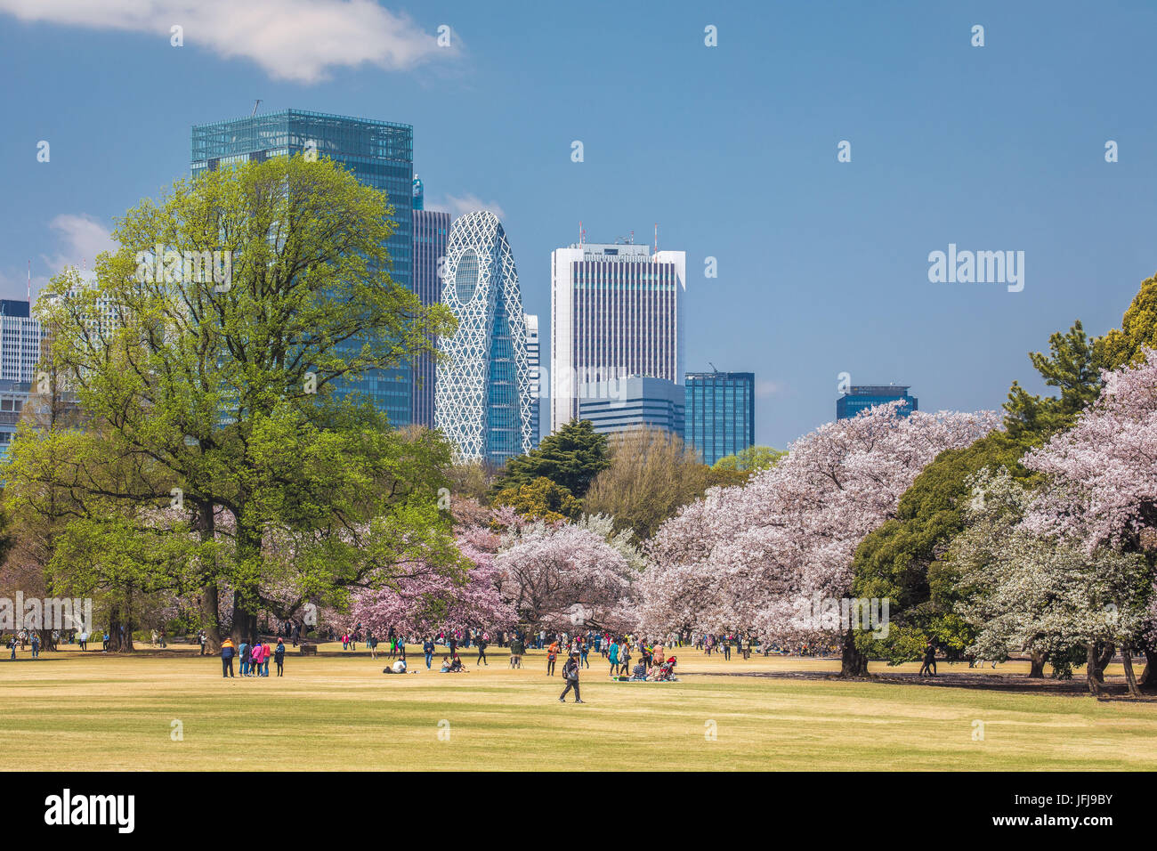 Shinjuku Gyoen Park High Resolution Stock Photography and Images - Alamy