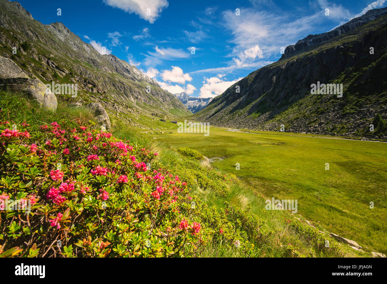 Europe, Italy, Adamè valley in Adamello park, province of Brescia Stock ...