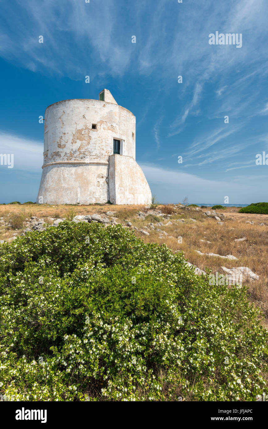Del pizzo hi-res stock photography and images - Alamy