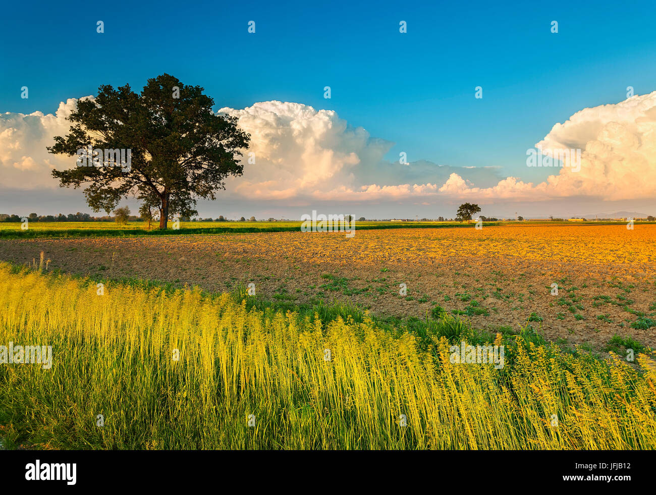 Northern italy countryside hi-res stock photography and images - Alamy