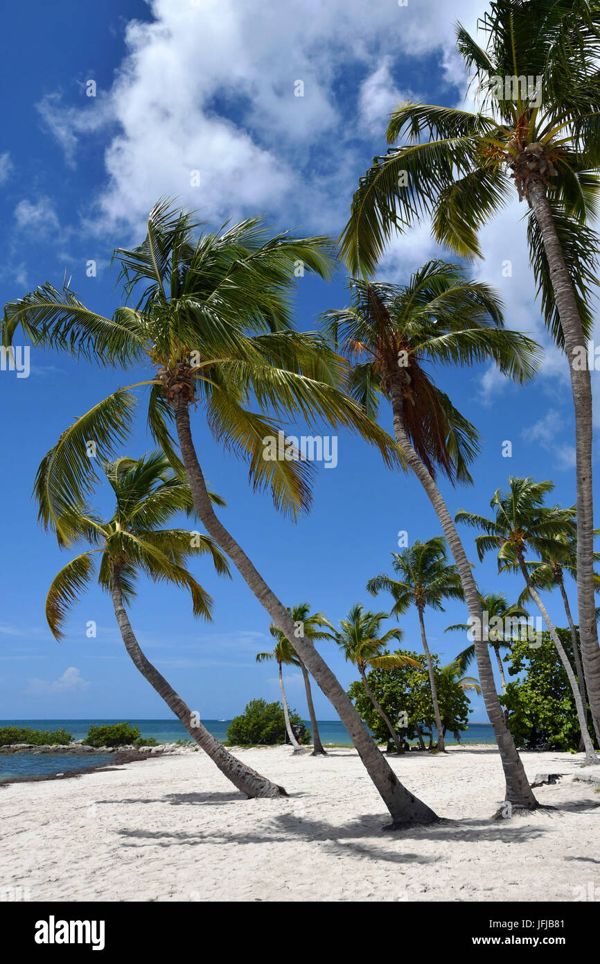 Florida Keys Beach High Resolution Stock Photography and Images - Alamy