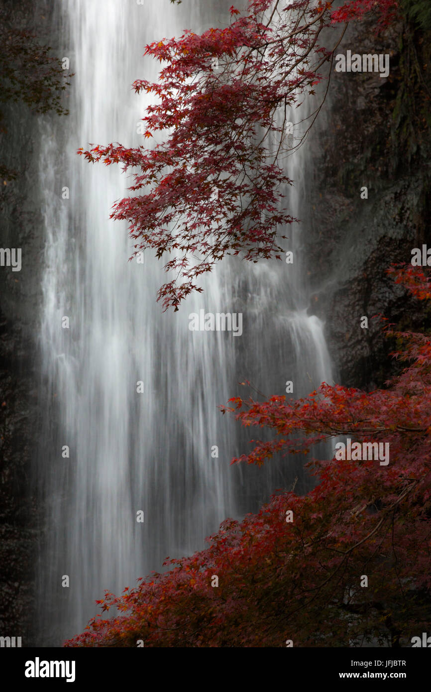 Minoo hi-res stock photography and images - Alamy