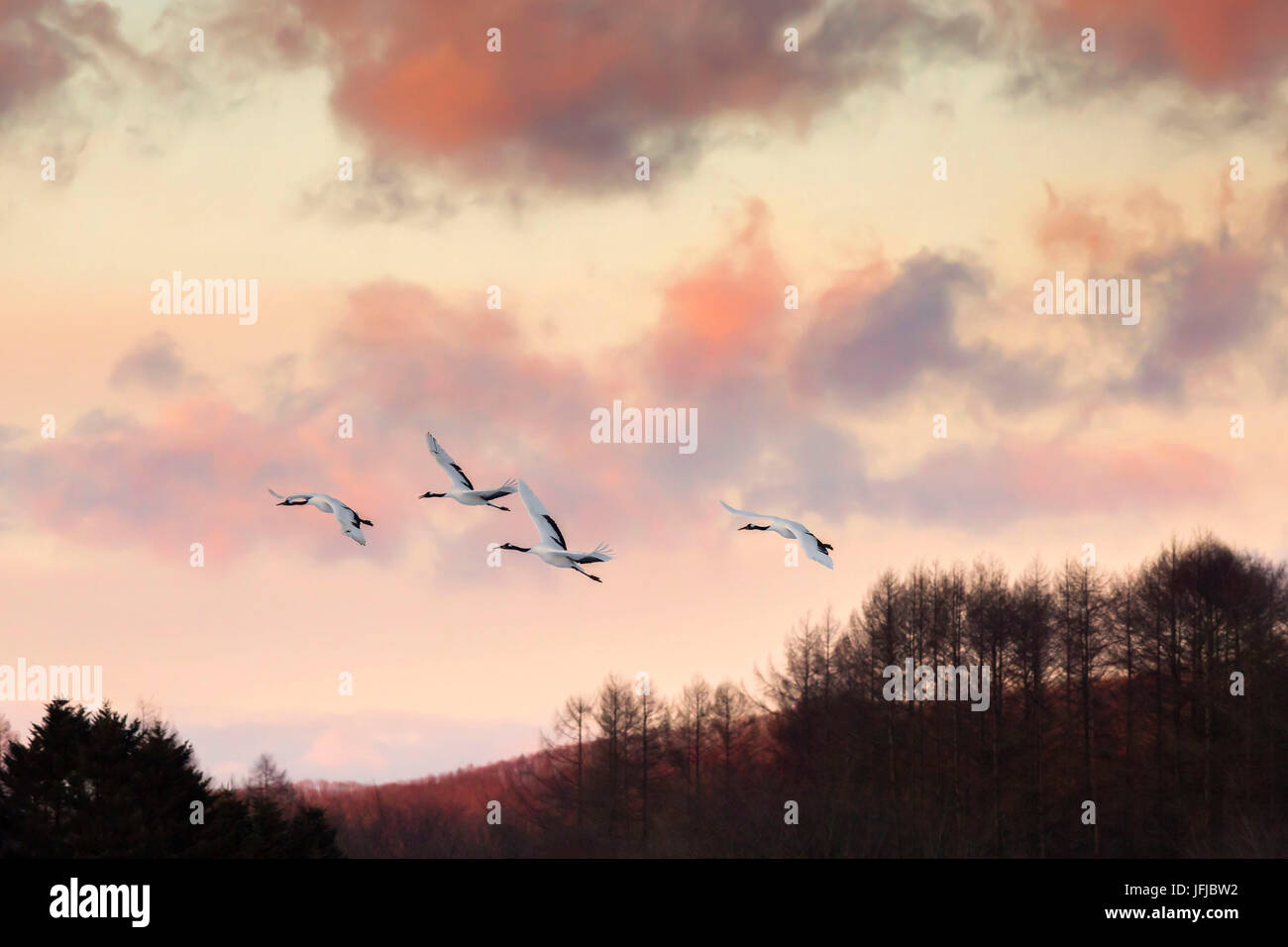 Japanese sunset hi-res stock photography and images - Alamy