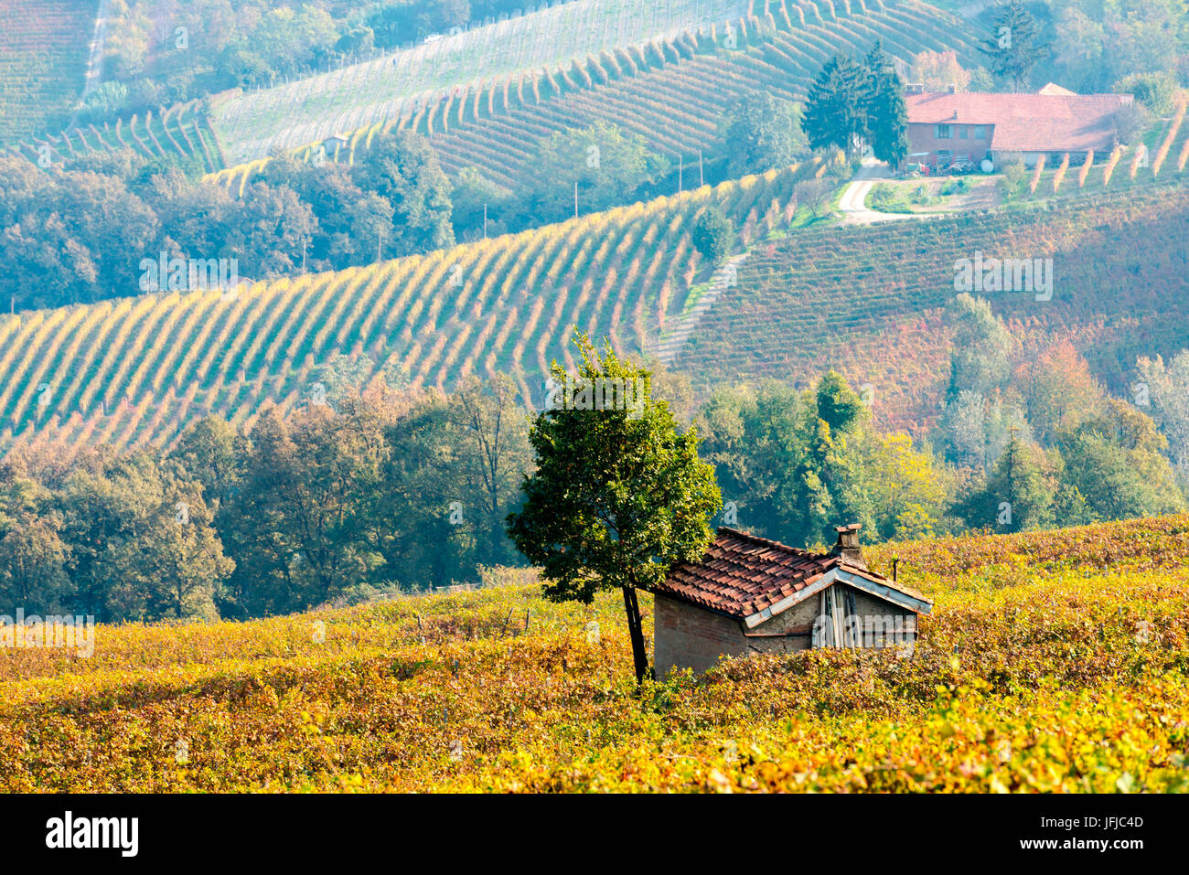 Langhe hi-res stock photography and images - Alamy