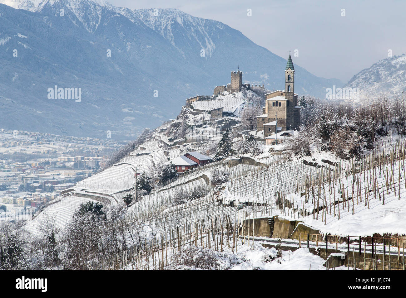 Ancient tree in winter hi-res stock photography and images - Alamy