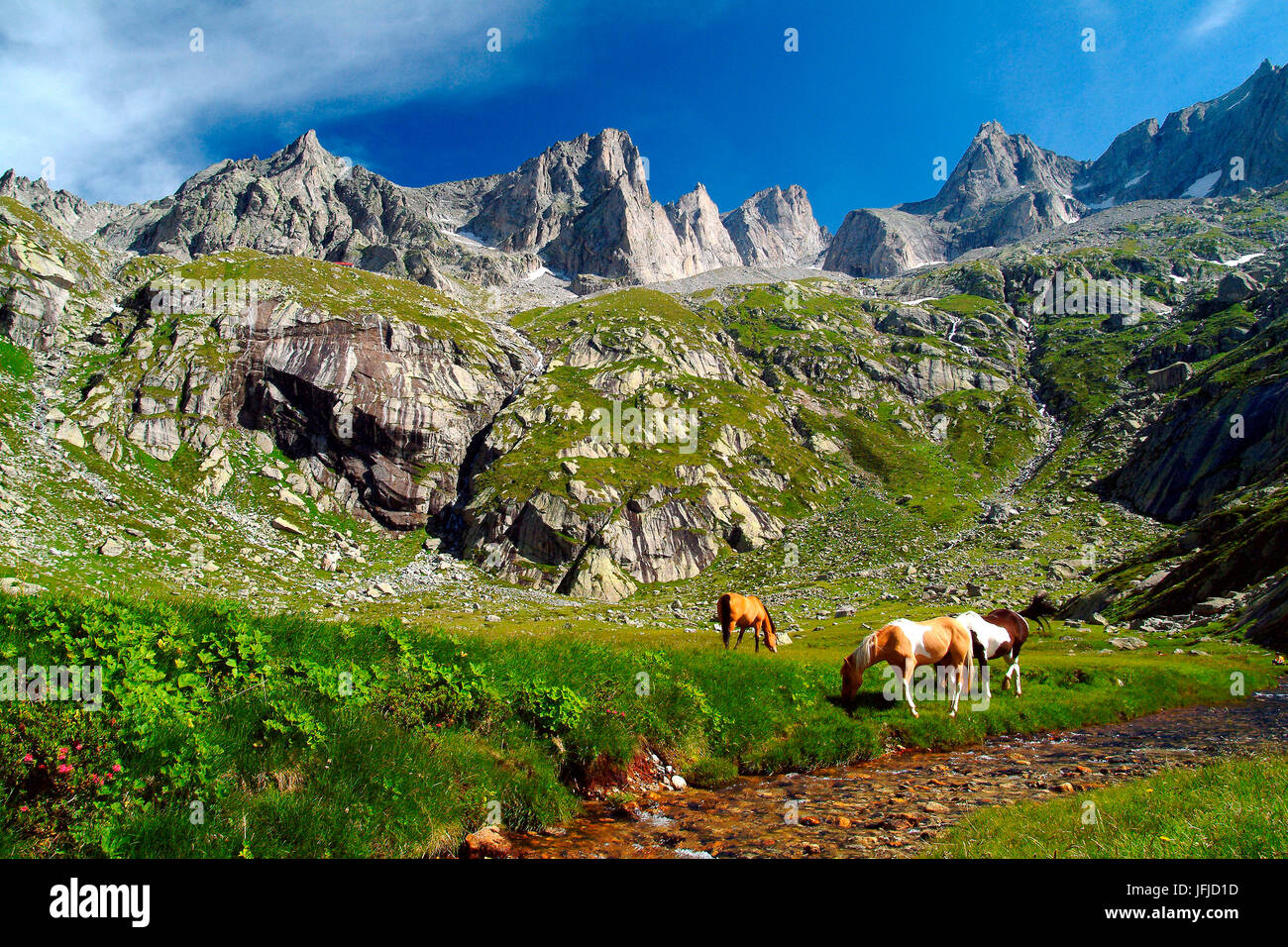 Zocca plain hi-res stock photography and images - Alamy