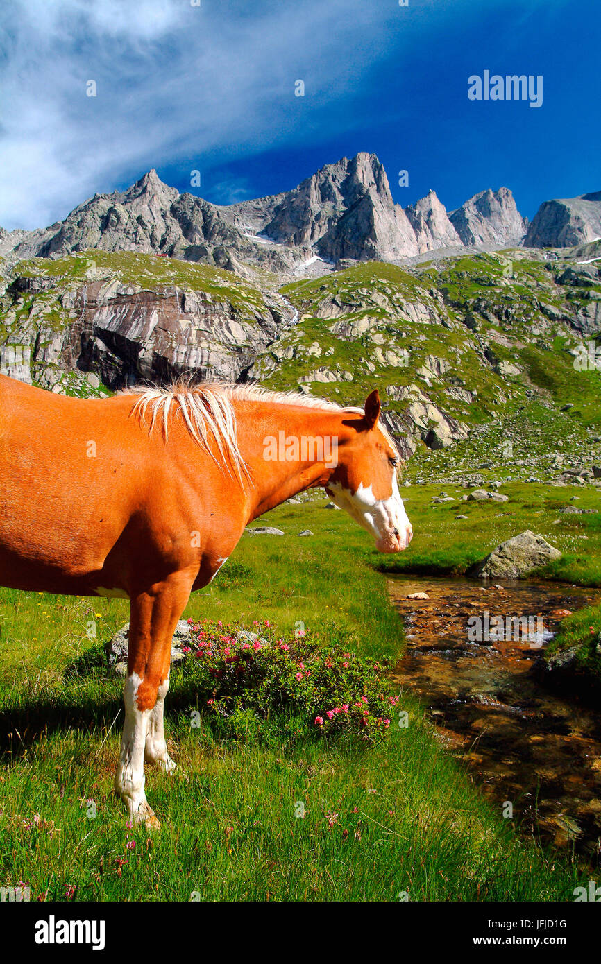 Zocca plain hi-res stock photography and images - Alamy