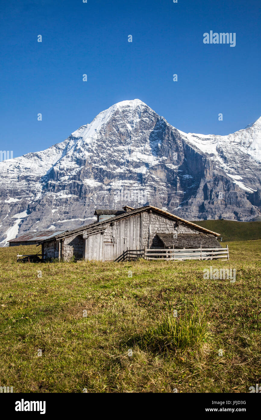 Wood hut with Mount Eiger in the background Mannlichen Grindelwald ...