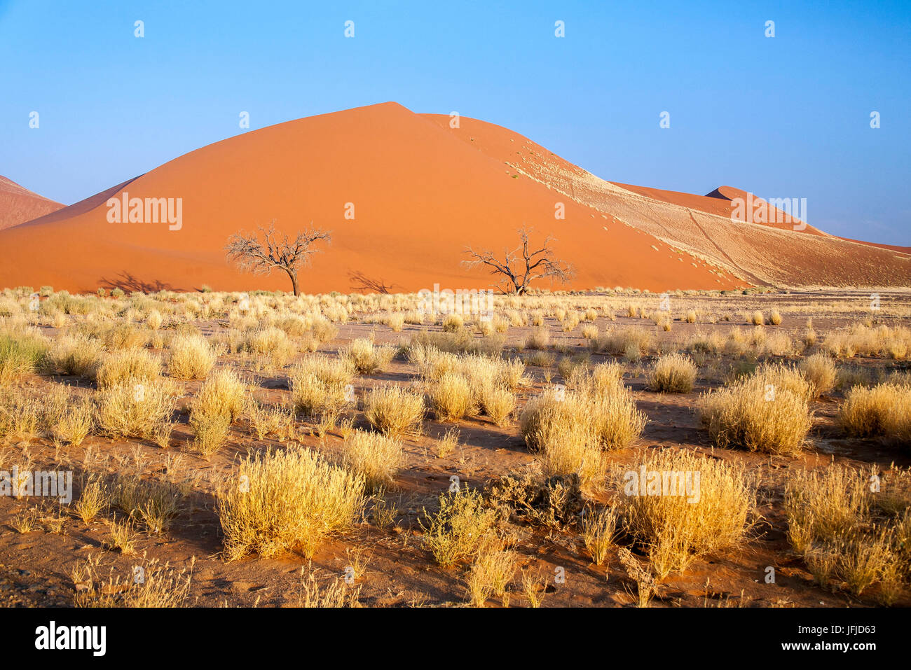 Dune 45 the star dune composed of 5 million year old sand Sossusvlei ...