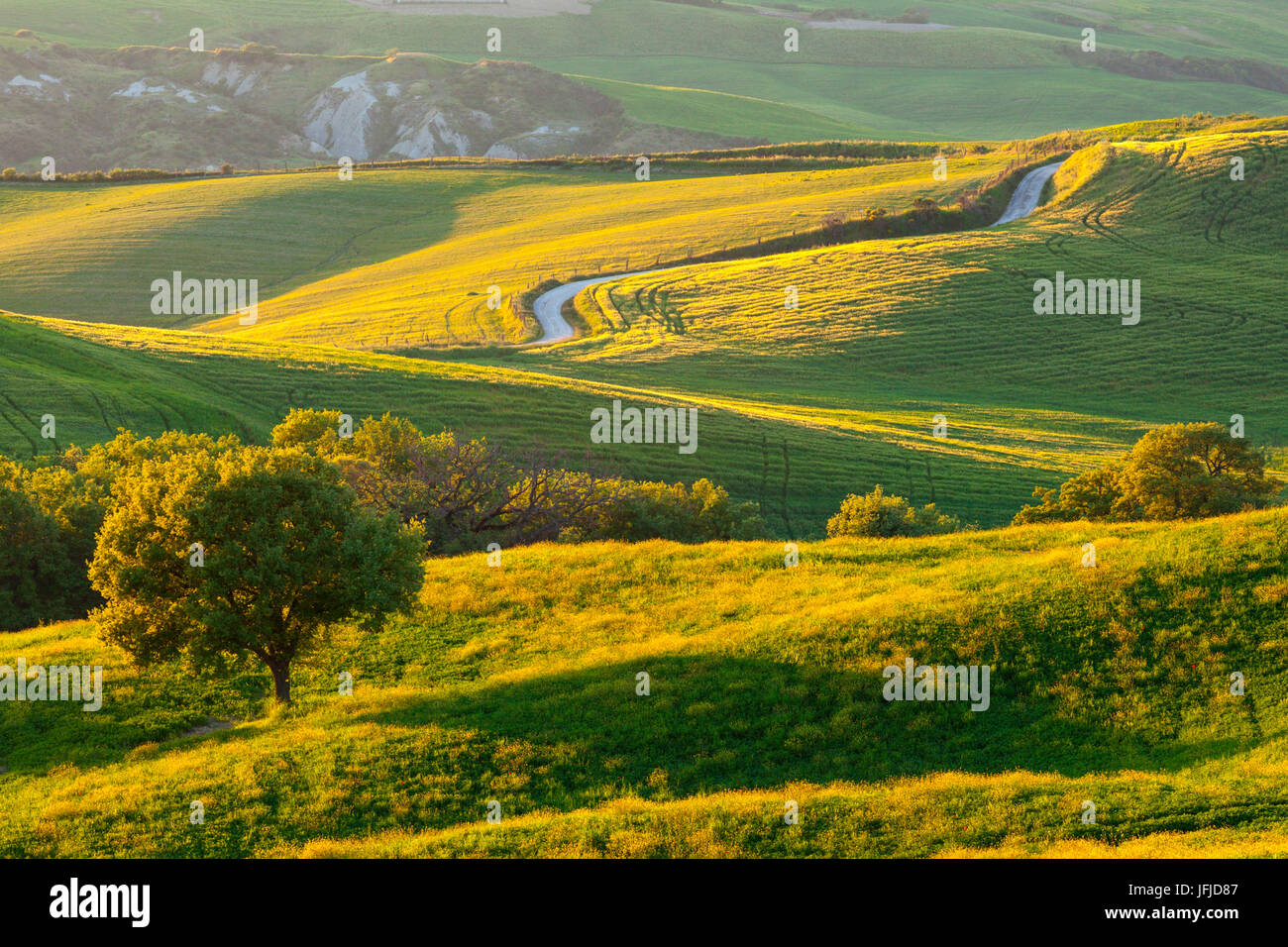 Pienza, Orcia valley, Tuscany, Italy, A white road among wheat fields ...