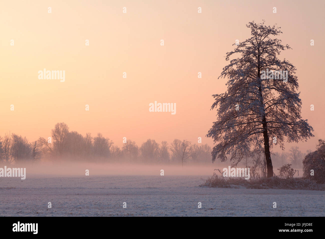Torre Pallavicina, Oglio north park, Bergamo province, Lombardy, Italy ...