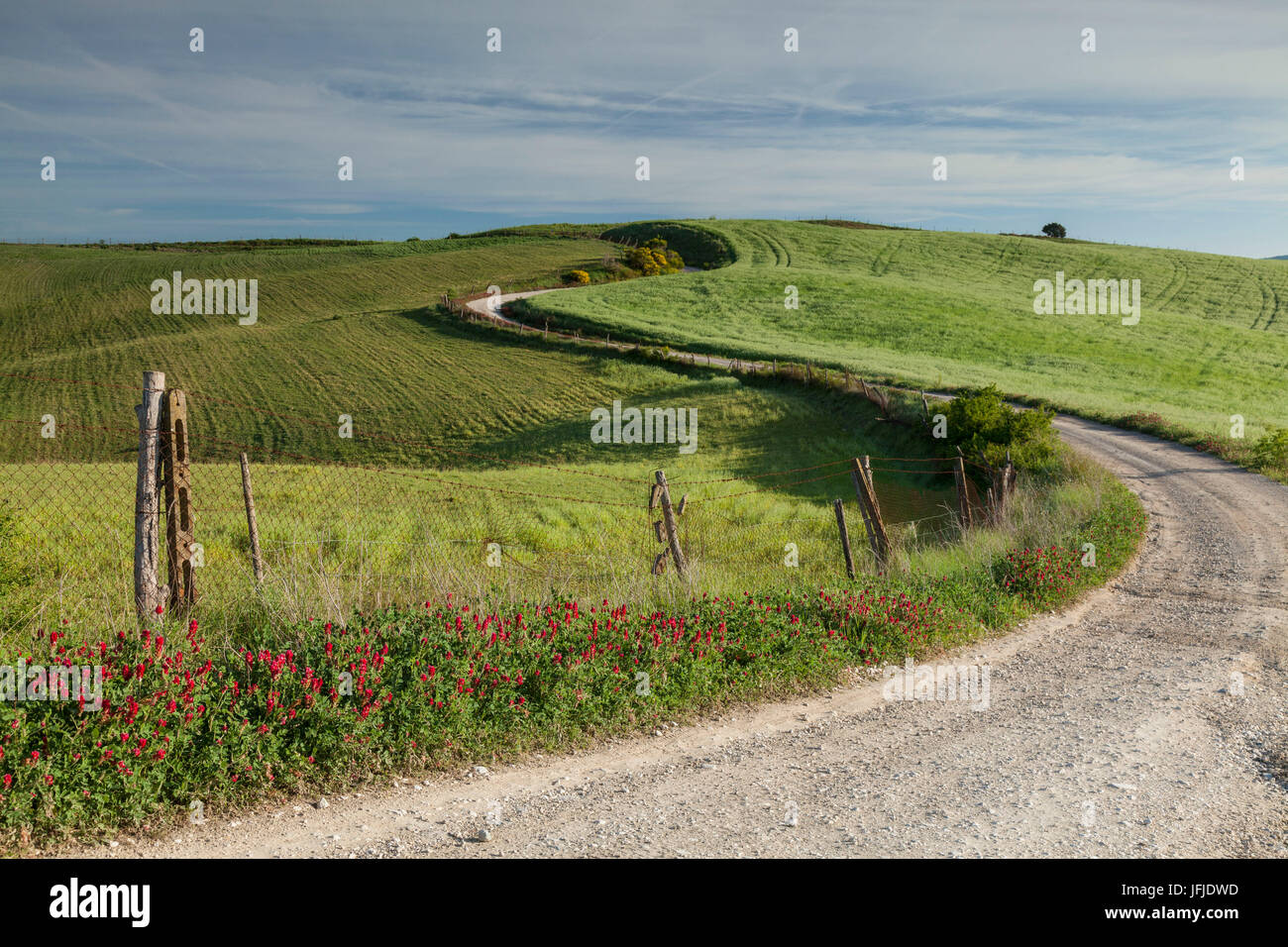 Pienza, Orcia Valley, Tuscany, Italy, A typical countryside road Stock ...