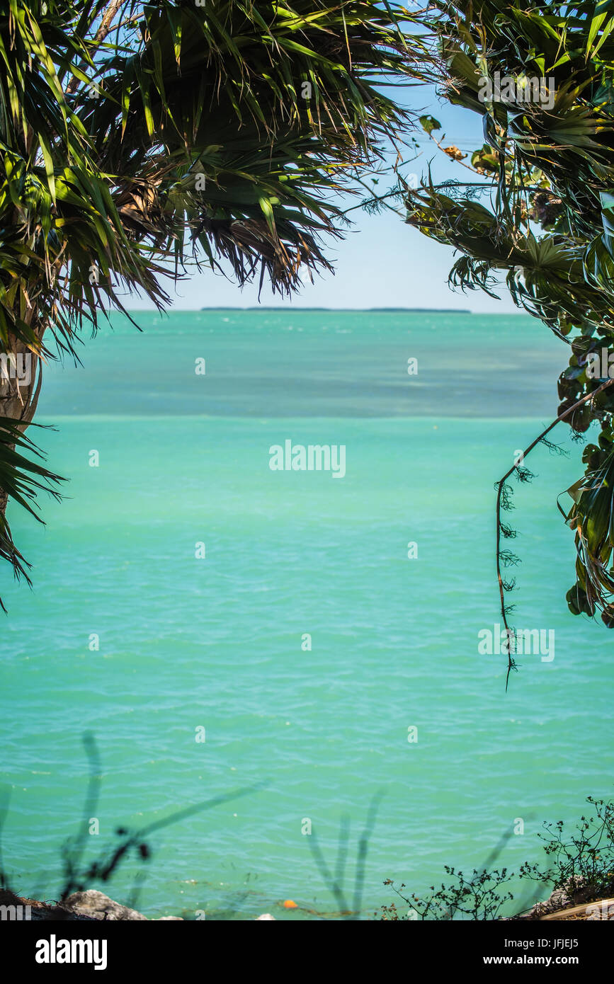 beautiful beach and ocean scenes in florida keys Stock Photo - Alamy
