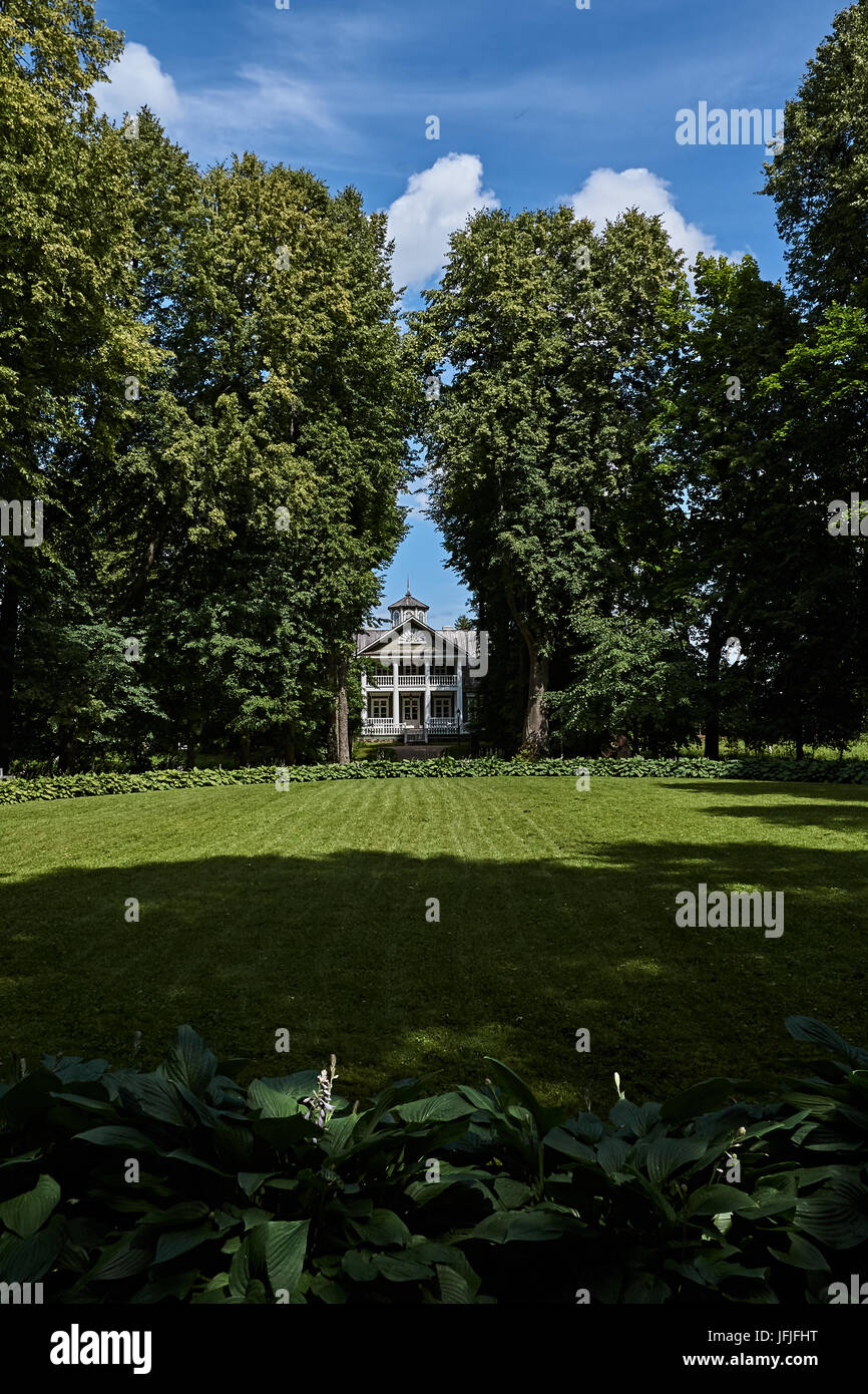 Shady alley in the park/On the sides of the alley are trees that make a ...