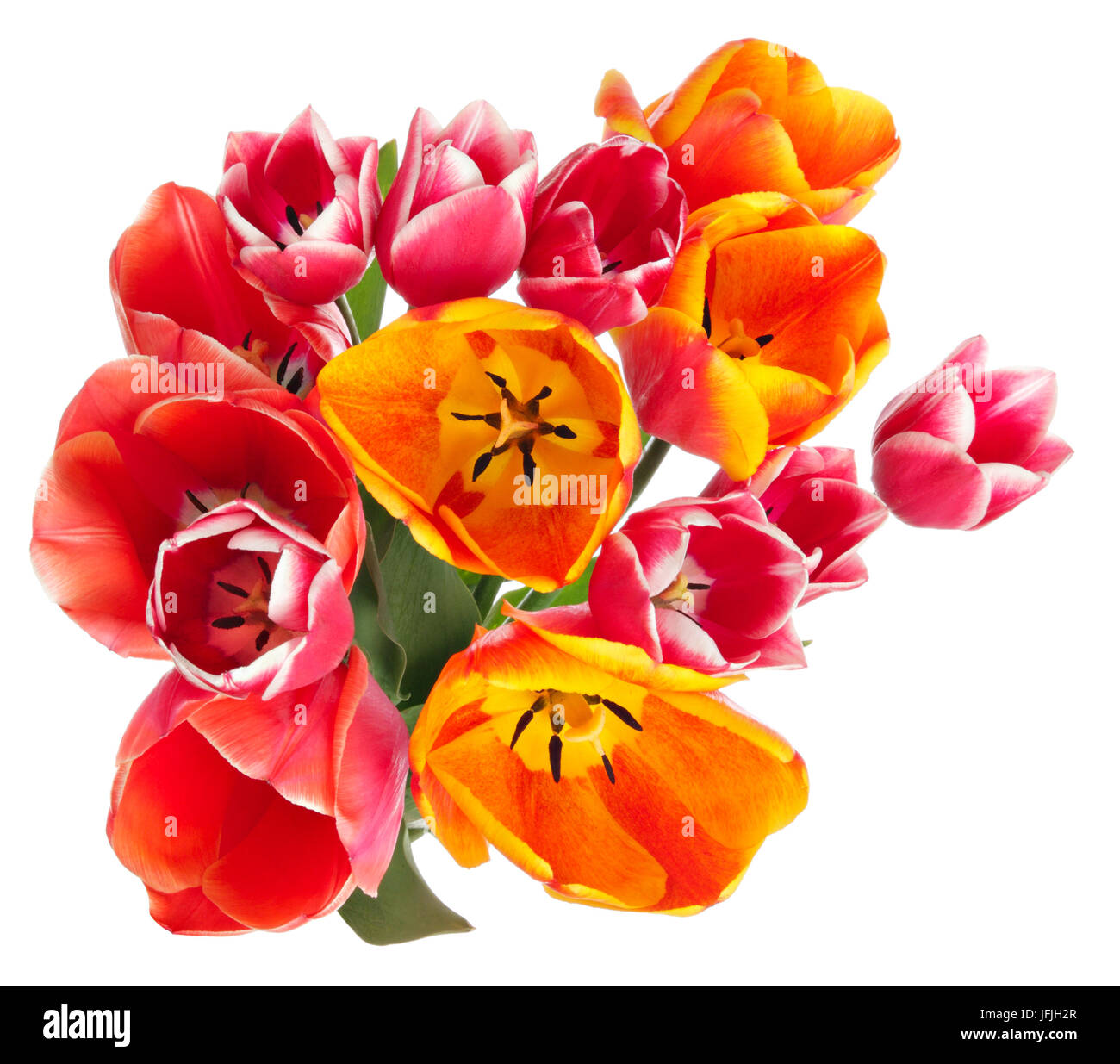 Flower card view Stock Photo - Alamy