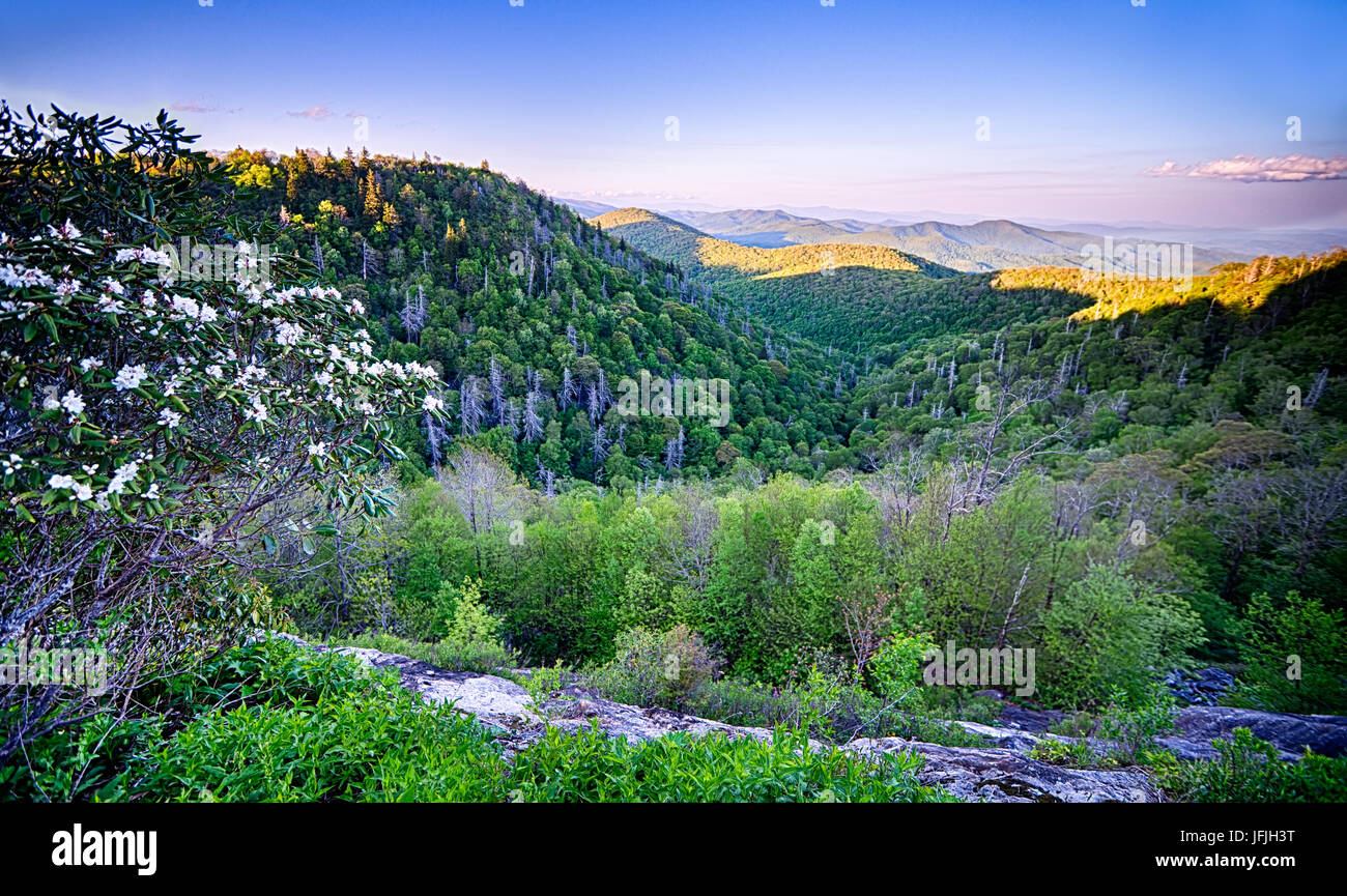 Springtime at Scenic Blue Ridge Parkway Appalachians Smoky Mountains ...