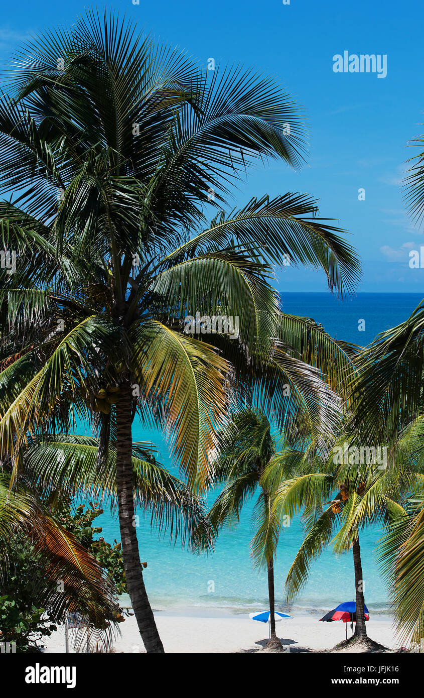 White beach with turquoise water in Cuba Varadero Stock Photo - Alamy