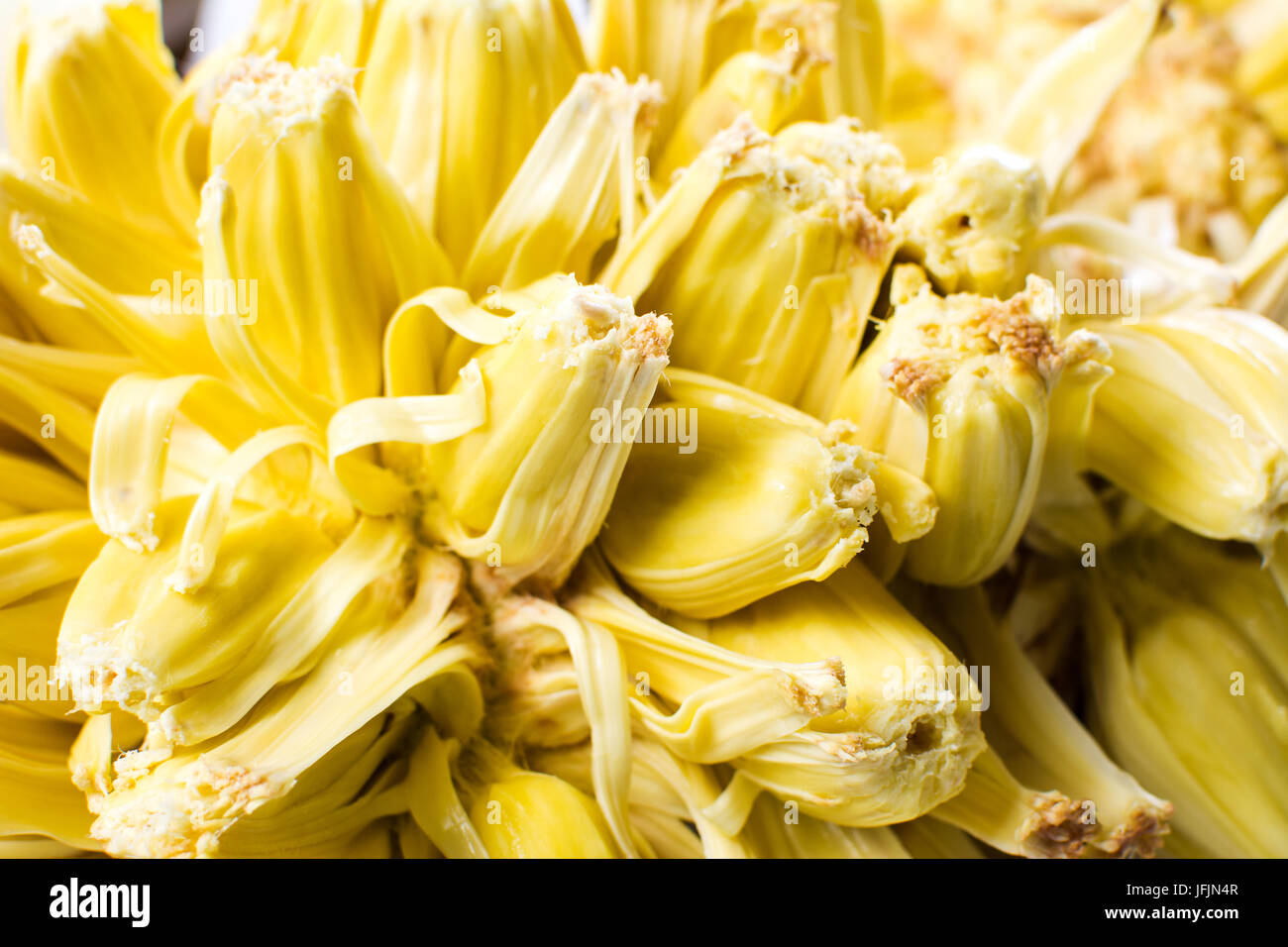 Jackfruit pattern hi-res stock photography and images - Alamy