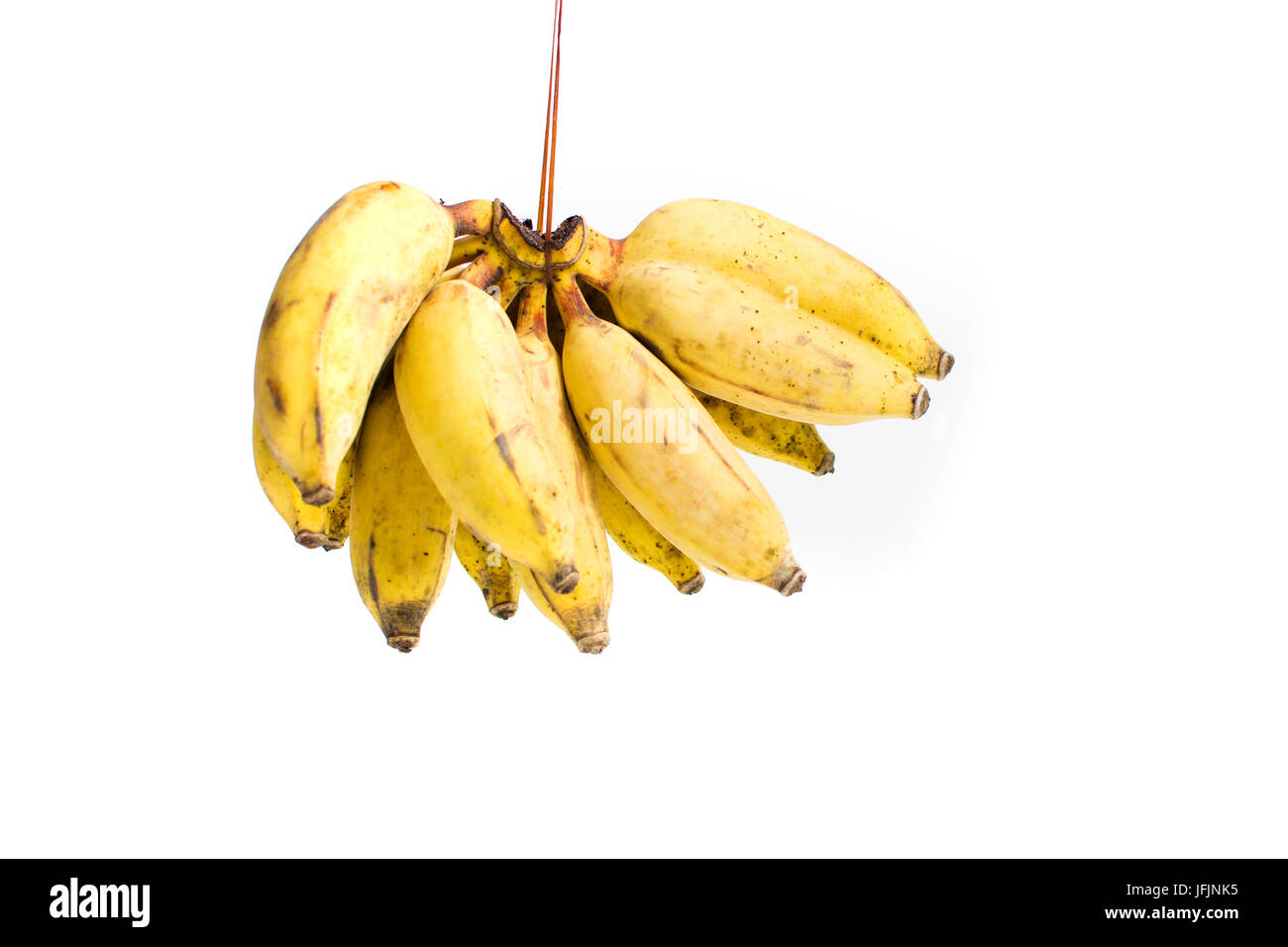 Small tropical banana cluster isolated on white background Stock Photo ...