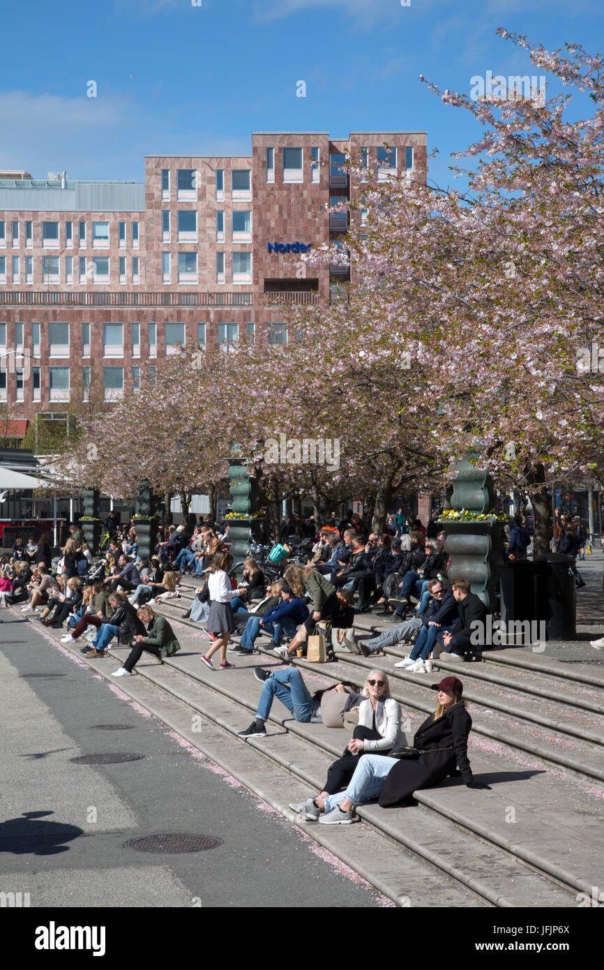 King’s Garden Square - Kungstradgarden; Stockholm; Sweden Stock Photo ...