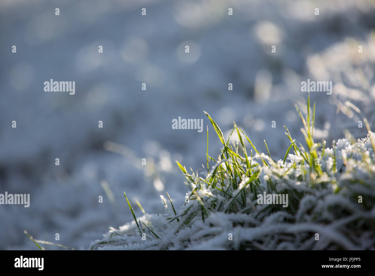 Erleuchtete hi-res stock photography and images - Alamy