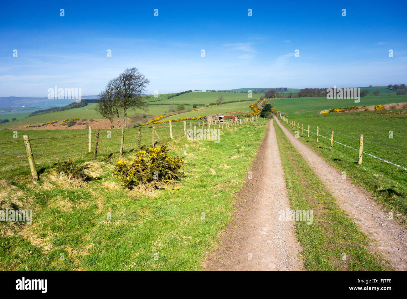 The ancient trackway named The Port Way, which now forms part of the ...