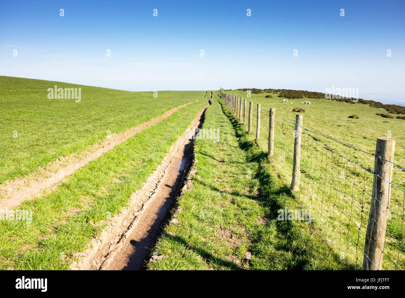 The ancient trackway named The Port Way, which now forms part of the ...