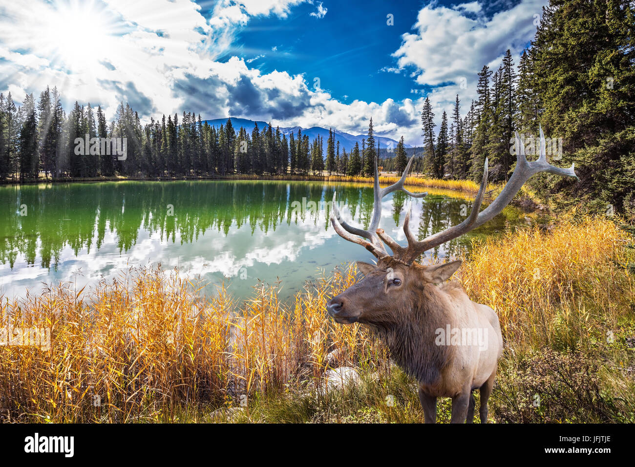Shore stands hi-res stock photography and images - Alamy
