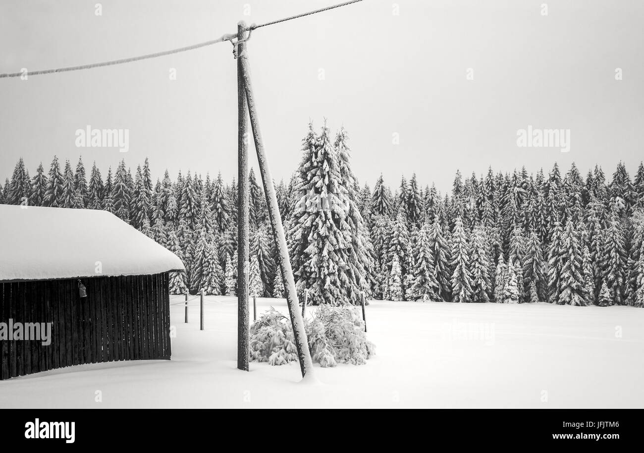 Telephone pole ice snow hi-res stock photography and images - Alamy
