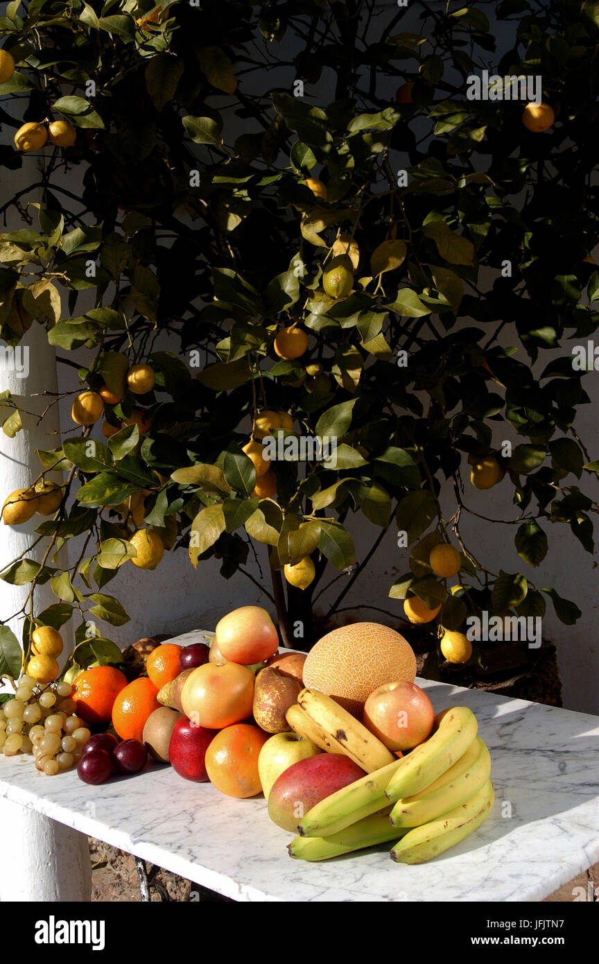 Still life of fruit with sunlight outside Stock Photo - Alamy