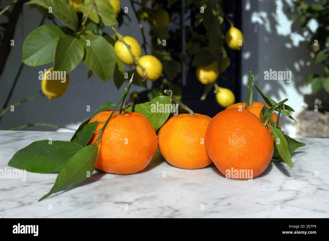 Still life of fruit with sunlight outside Stock Photo - Alamy