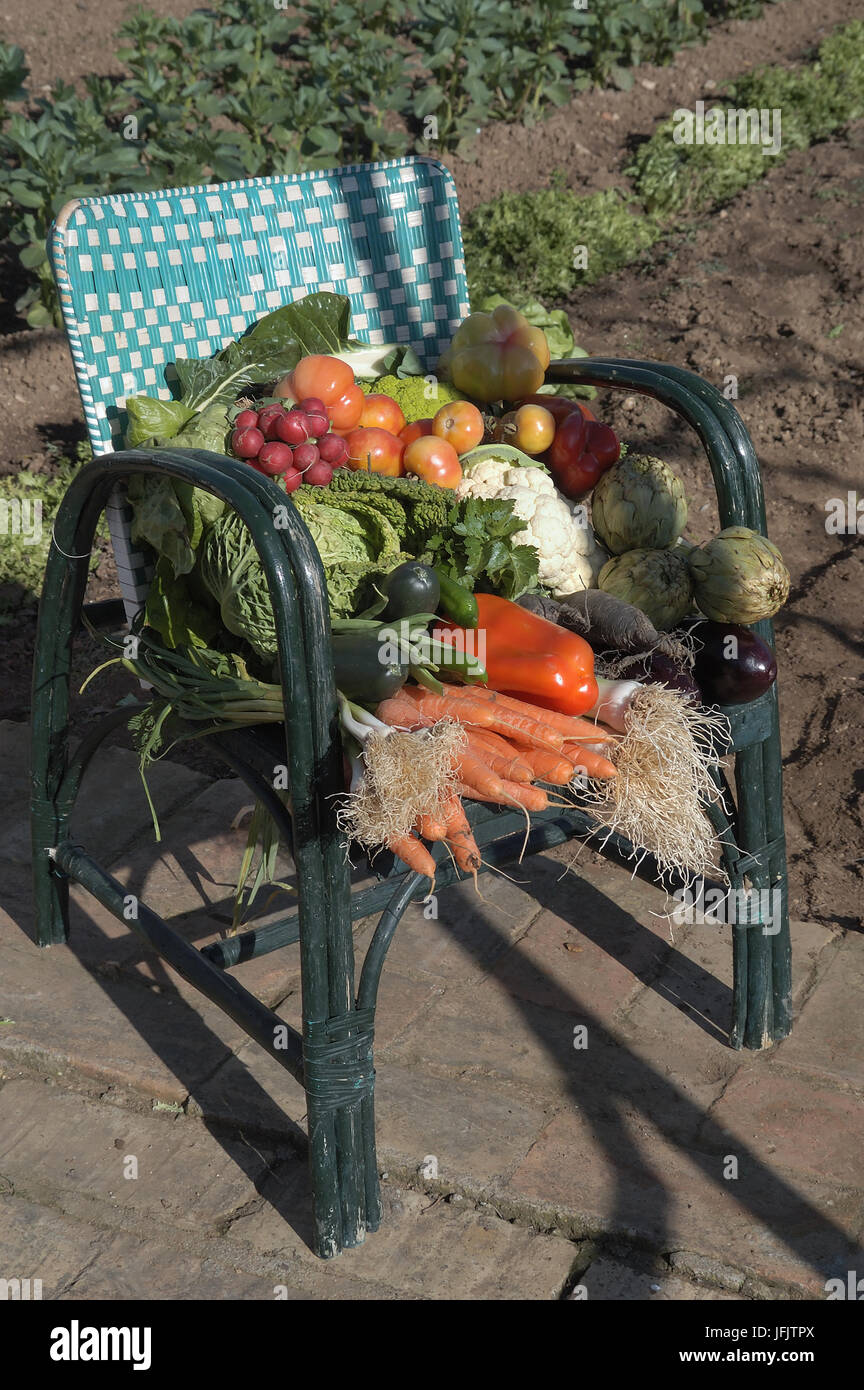 vegetables in a chair on the outside and a garden in the background ...