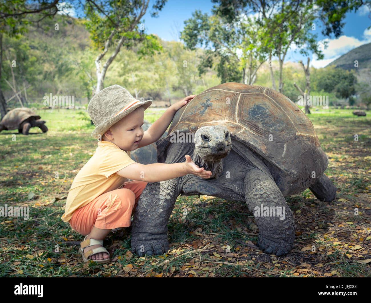 Aldabra giant tortoise and child Stock Photo - Alamy