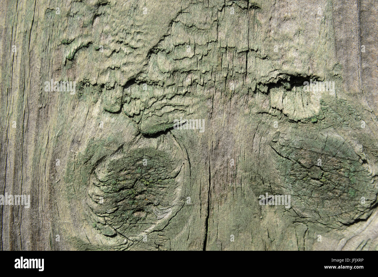 Wood texture, vertical lines, green paint Stock Photo - Alamy