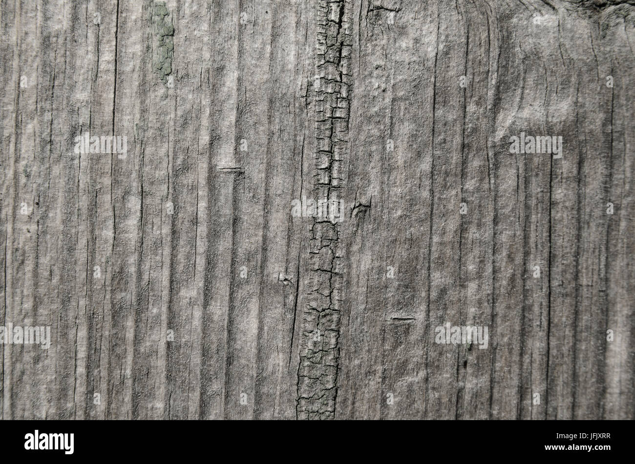 The vertical surface of the wood texture Stock Photo - Alamy