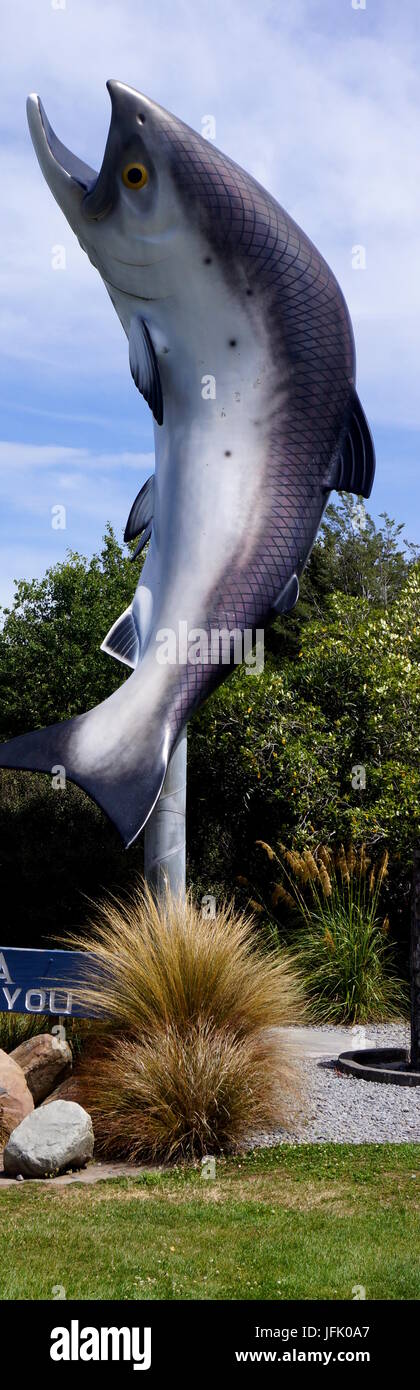 Giant Fish,New Zealand Stock Photo - Alamy
