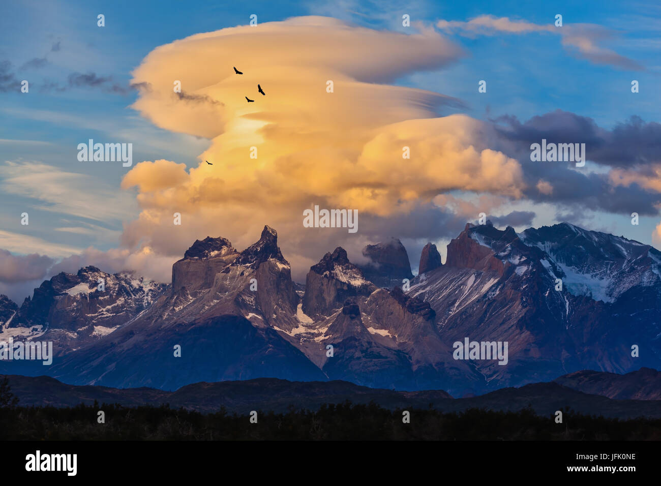 Under the clouds flying flock of Andean condors Stock Photo - Alamy