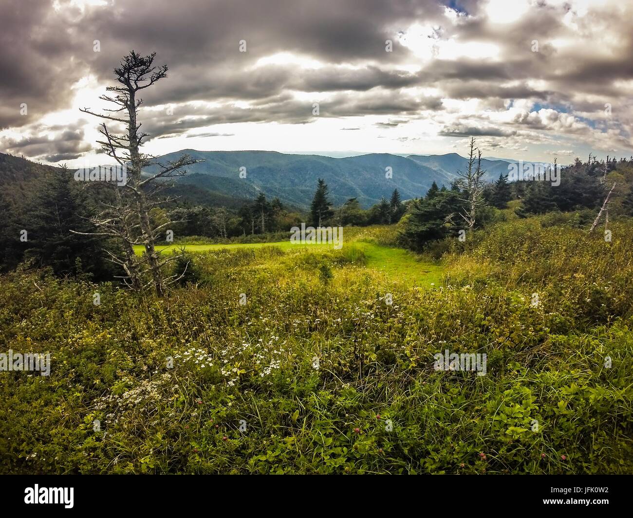 scenic views at sunset on top of mount mitchell Stock Photo - Alamy
