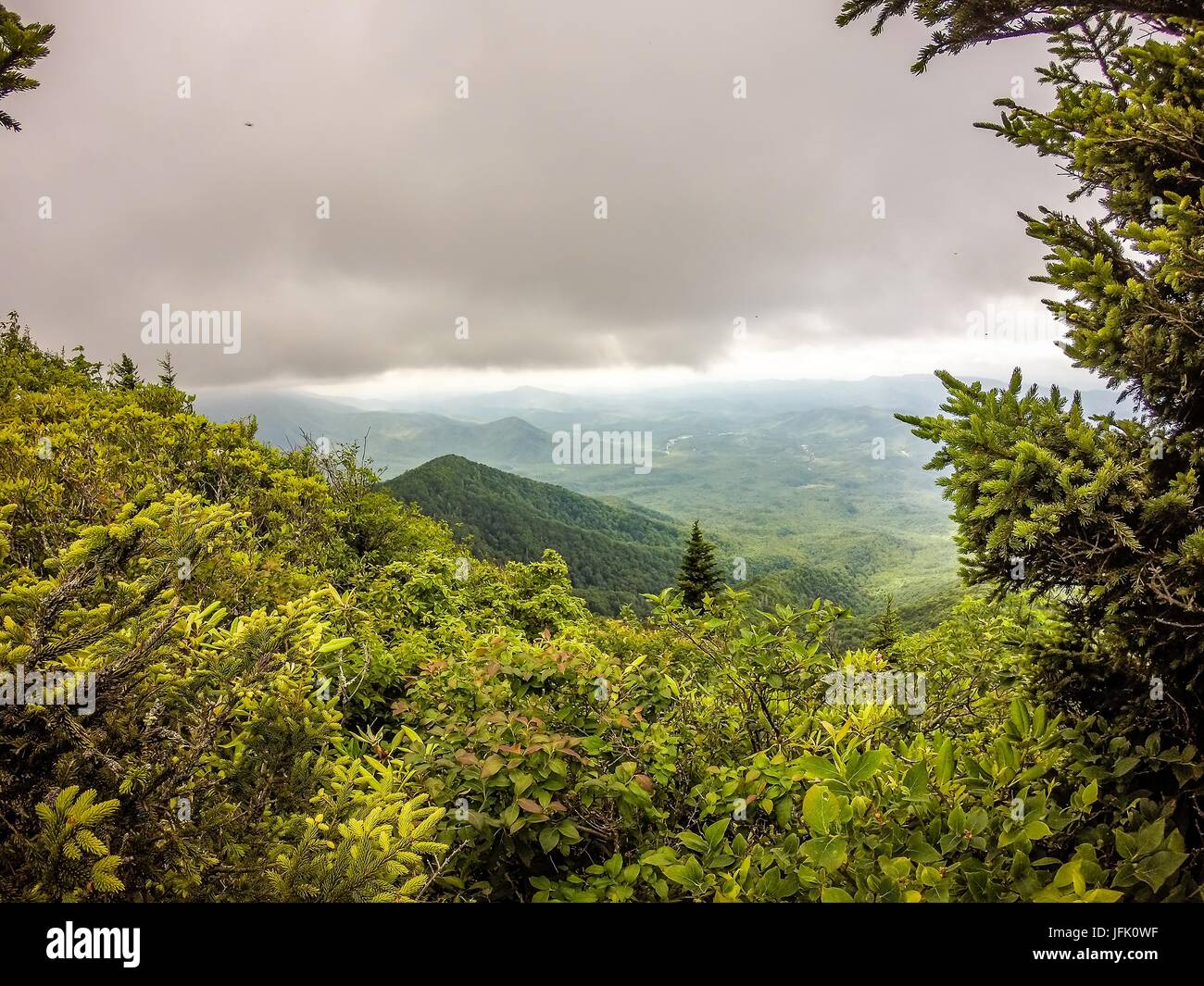 scenes along appalachian trail in smoky mountains north carolina Stock ...