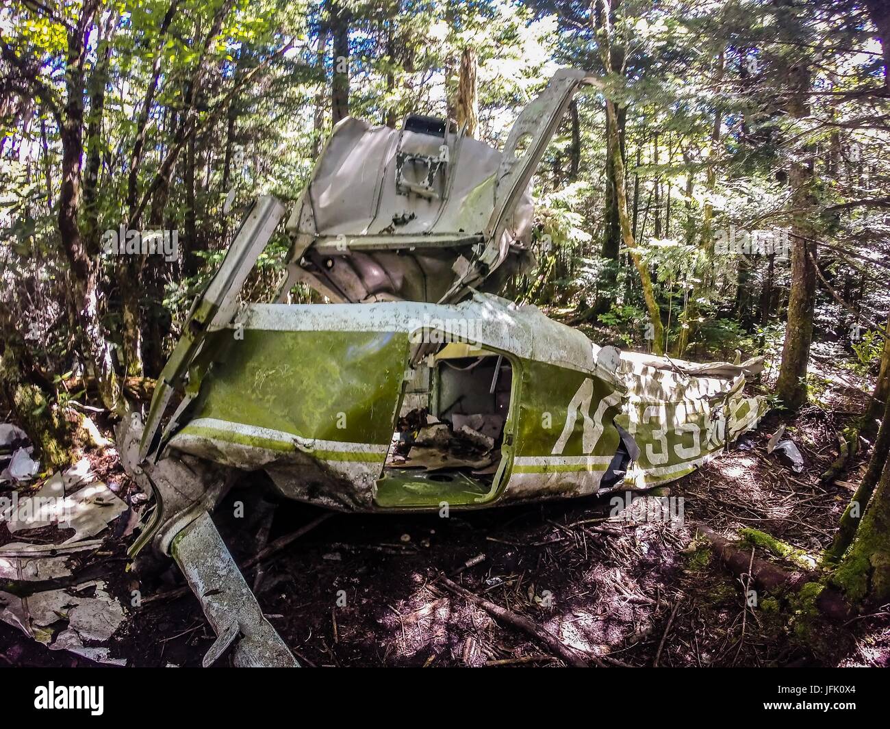 old plane crash slowly dissolves in the forest Stock Photo - Alamy