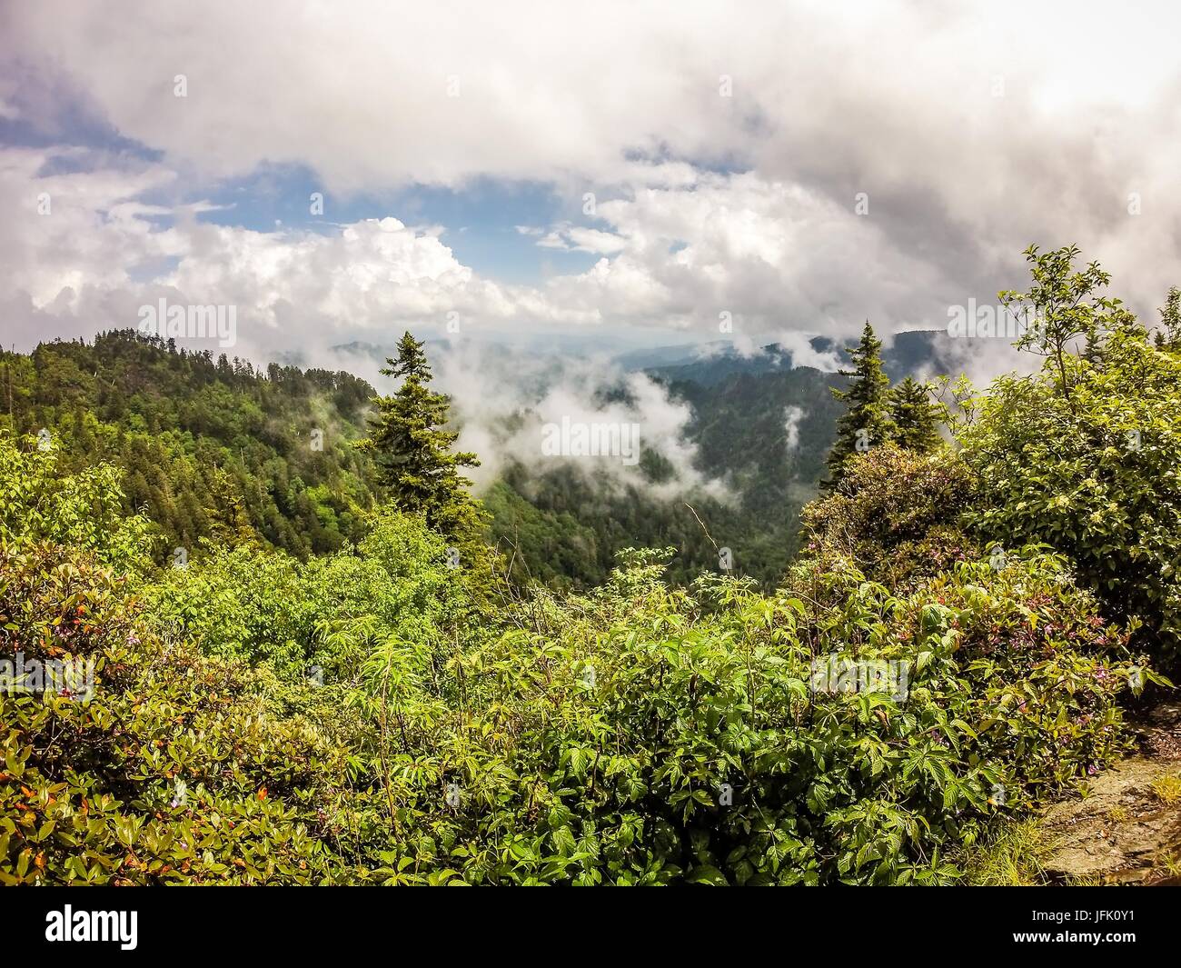 scenes along appalachian trail in smoky mountains north carolina Stock ...