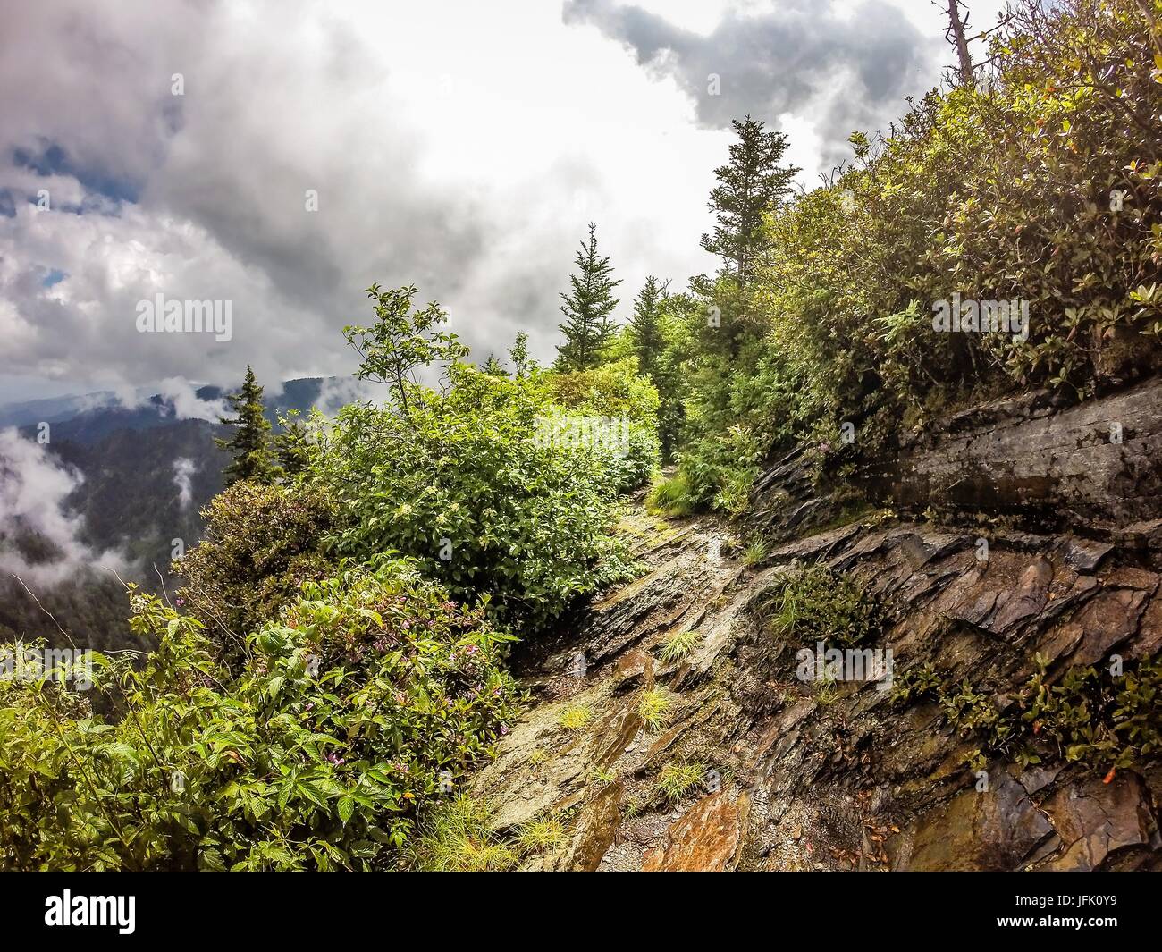 scenes along appalachian trail in smoky mountains north carolina Stock ...